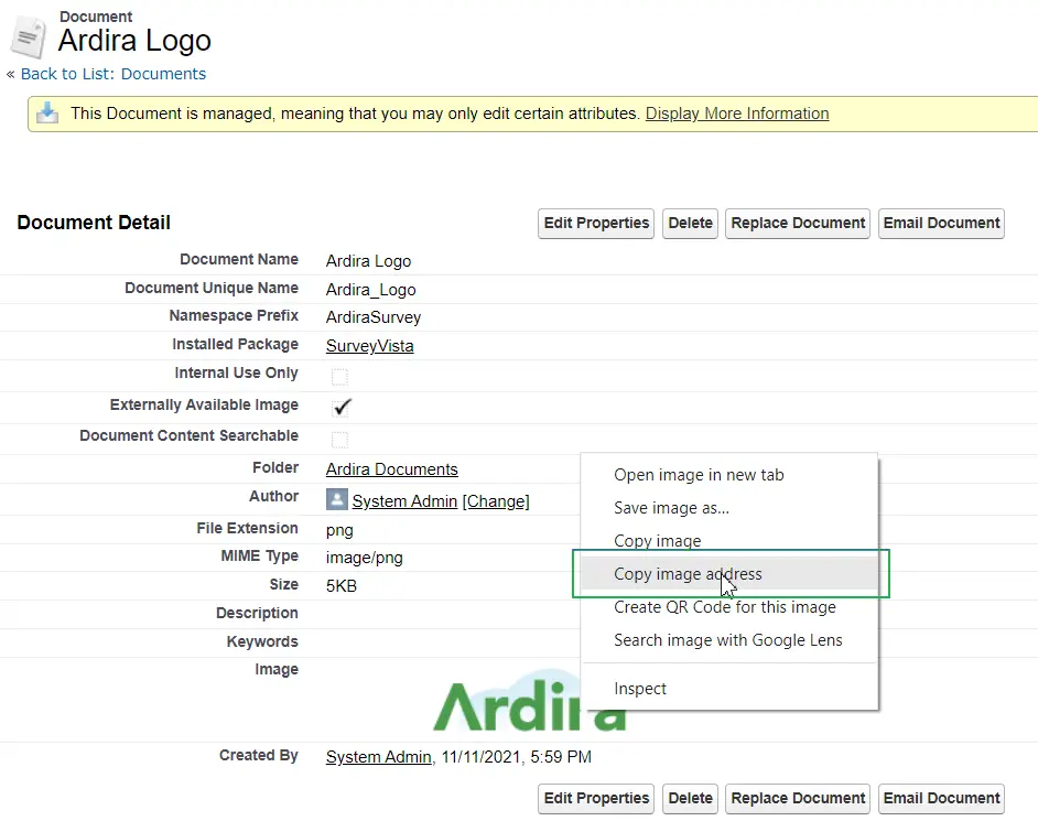 Embed Images Using Code Snippet - SurveyVista