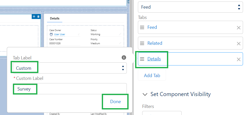 Expose Surveys in a record detail page