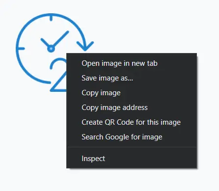 Embed Images Using Code Snippet - SurveyVista
