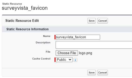 Configure Page Title and Favicon Icon - SurveyVista