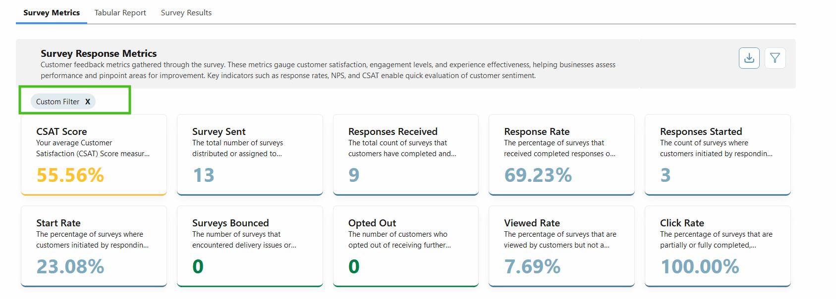 SurveyVista Version 2.4x Release Notes