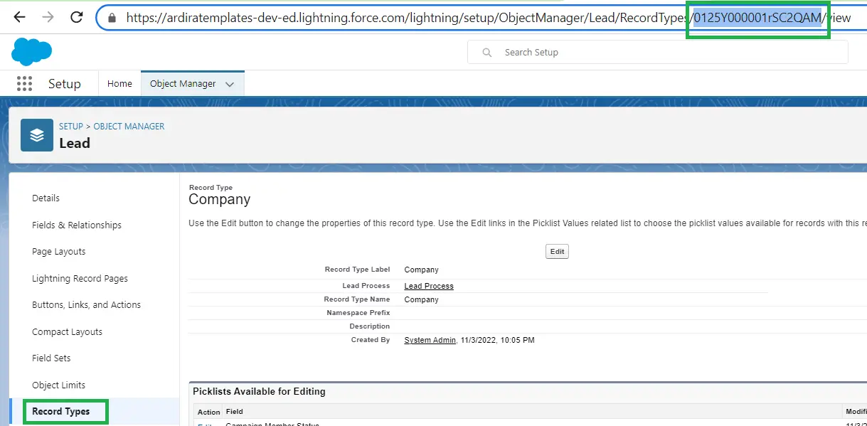 Create Lead Record Based on Record type - SurveyVista